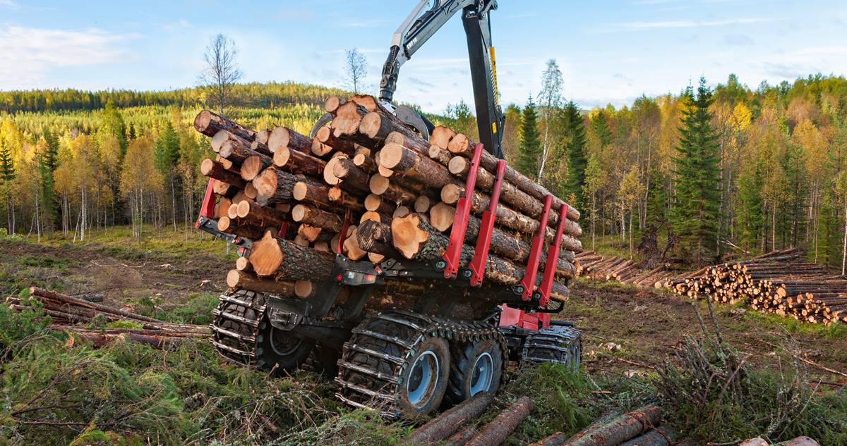 Metsäkoneurakointia ja metsämaan muokkausta, Metsäpalvelu Hiekkala