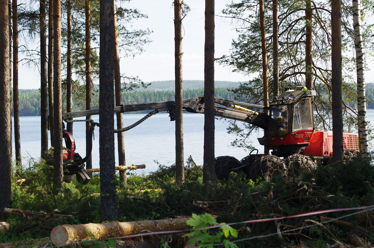 Metsäkoneurakointia ja metsämaan muokkausta, Metsäpalvelu Hiekkala
